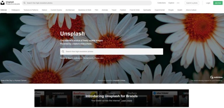39 Shutterstock Alternatives (Free and Paid)